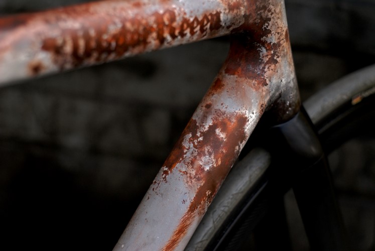 Rat look bike online