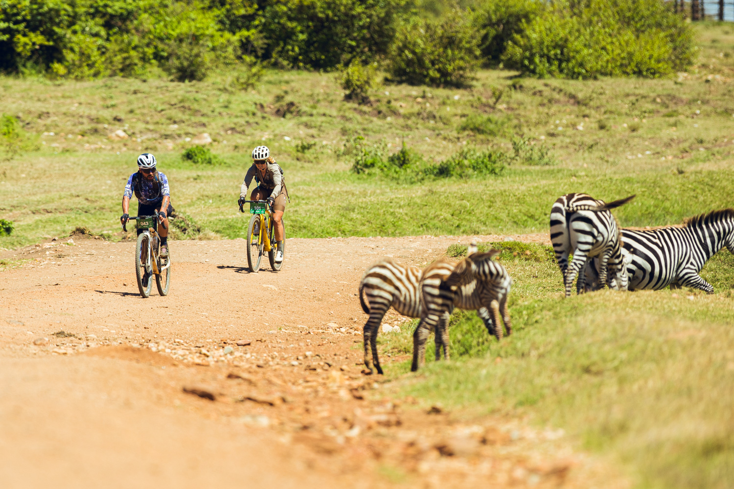 Migration Gravel Race 2024: When finishing is a remarkable feat - RAW ...